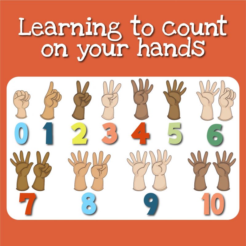 Number Readiness Assessment Kit (1823M-HL) – Creative Services E-Store