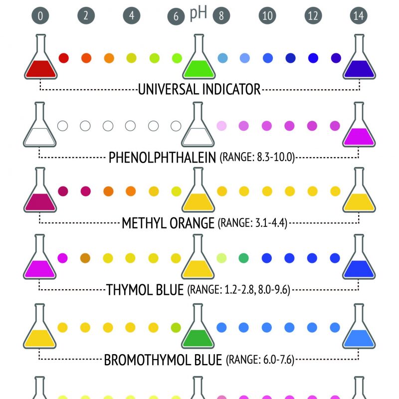 Colors Of PH Indicators (2817S-NW) – Creative Services E-Store