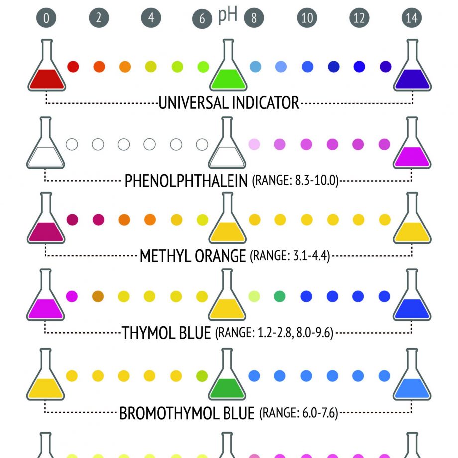 Colors Of PH Indicators (2817S-NW) – Creative Services E-Store